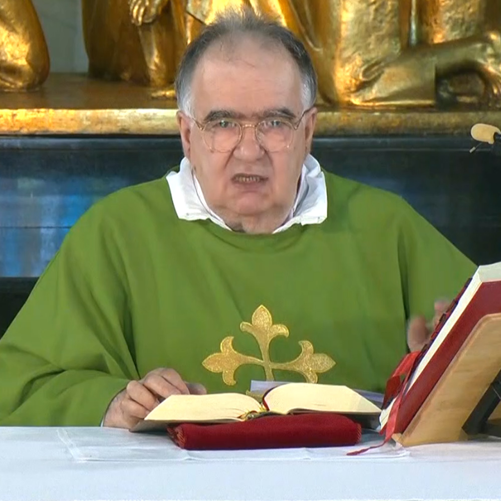 Il Vangelo del 20 luglio 2023 - Prega con noi