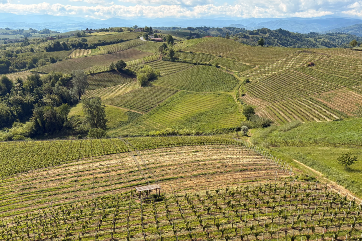 Borghi d’Italia a Ricaldone (Alessandria) - Ufficio Stampa